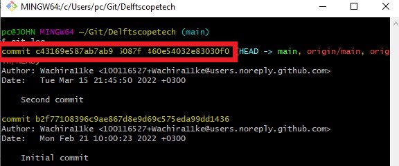 Delete Local Commits In Git Delft Stack